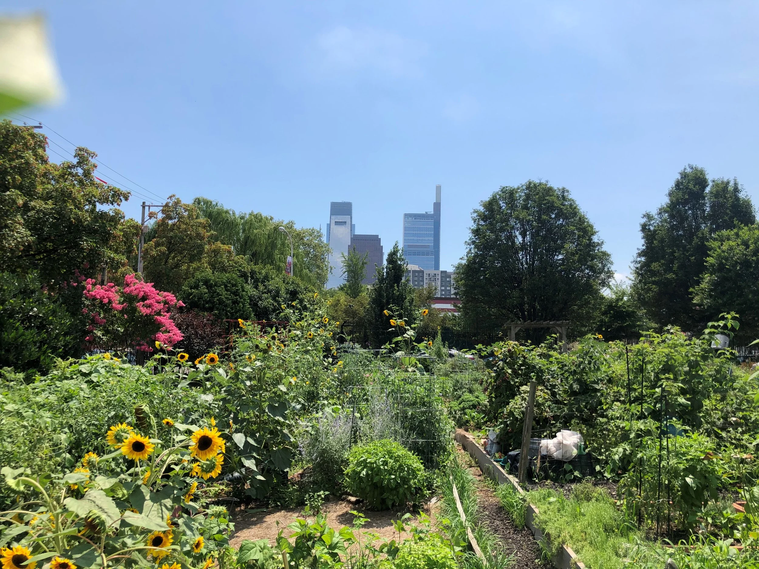 Visit Us — The Spring Gardens