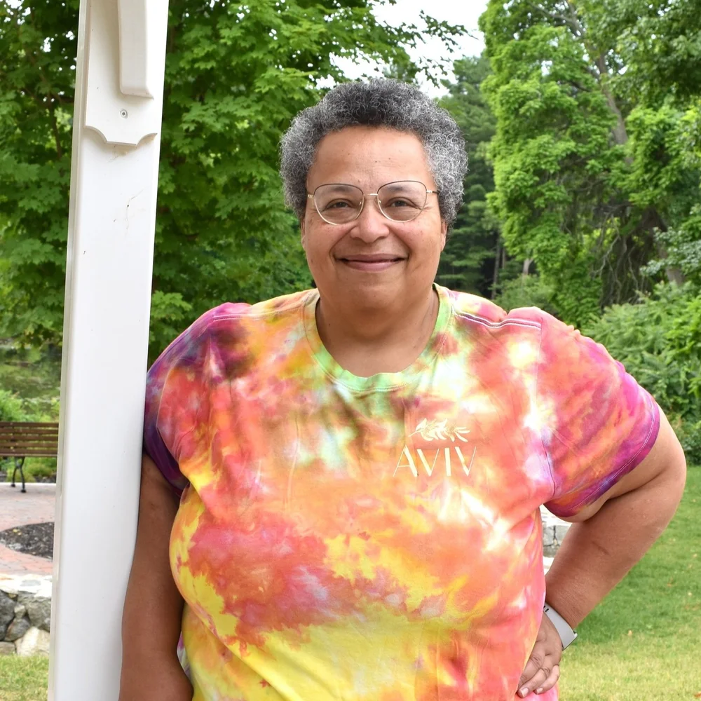 Virtual AVIV — AVIV