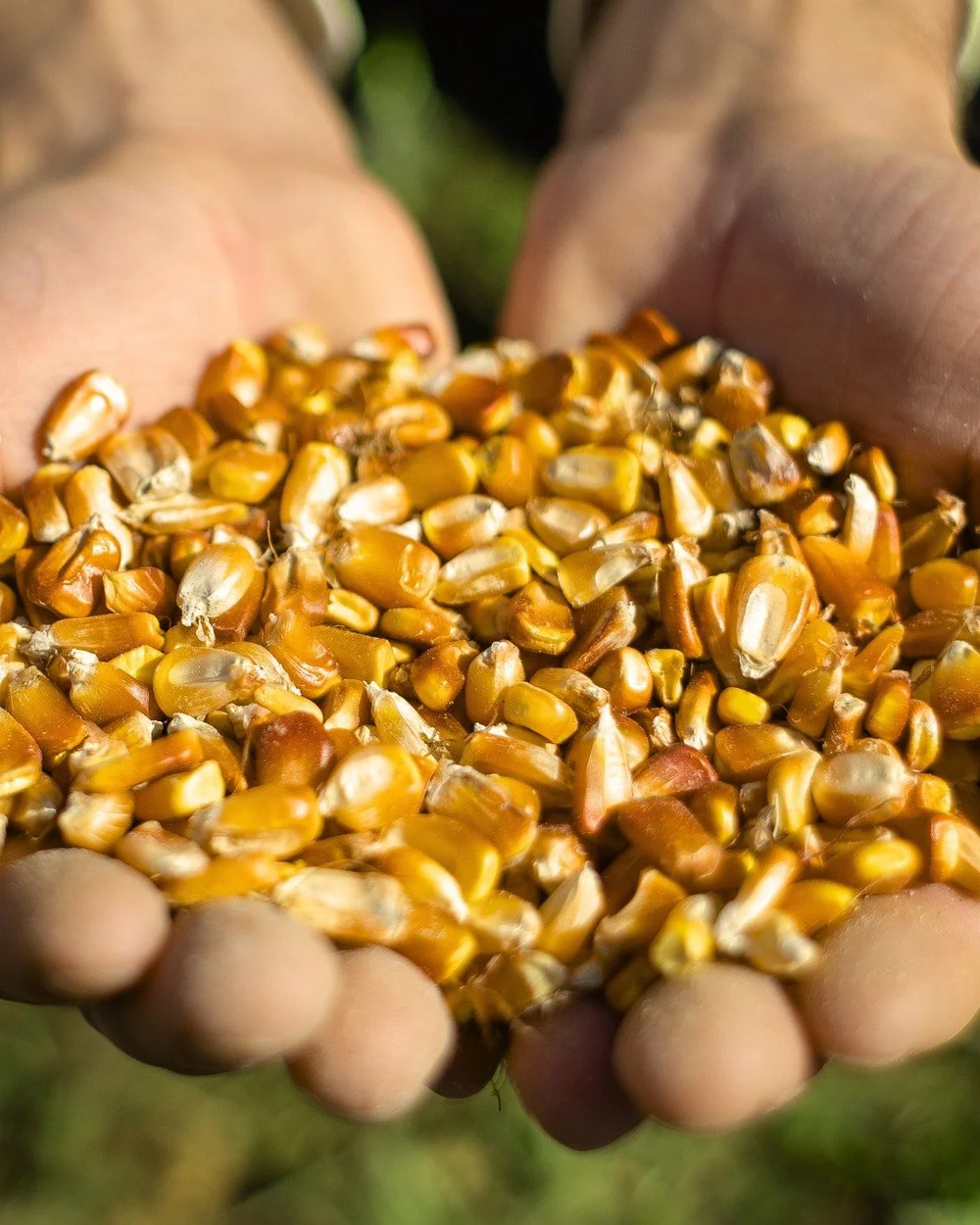 Community Foods Co-op - Cairns Bulk Organic Wholefoods