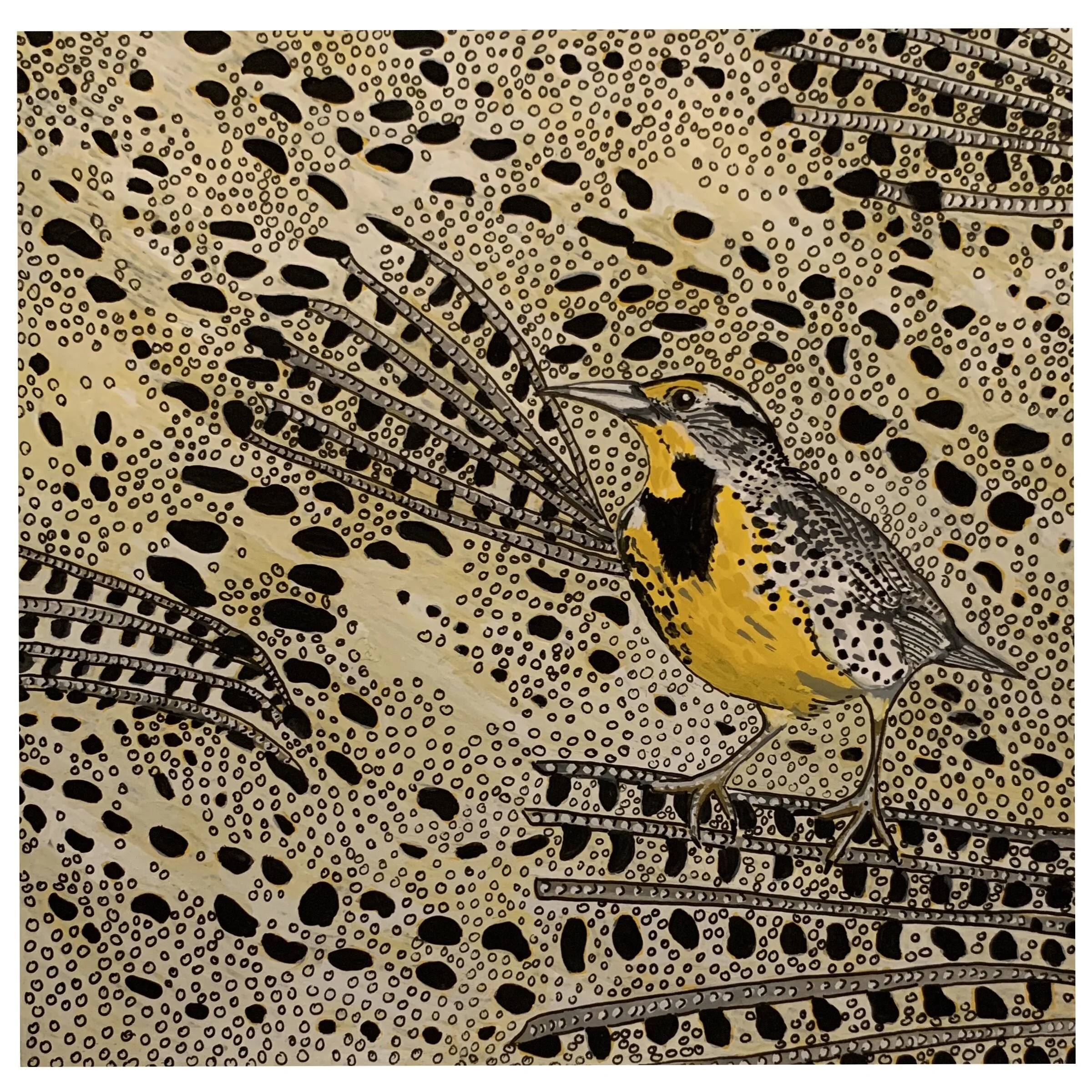 Eastern Meadowlark — Victoria Chaban