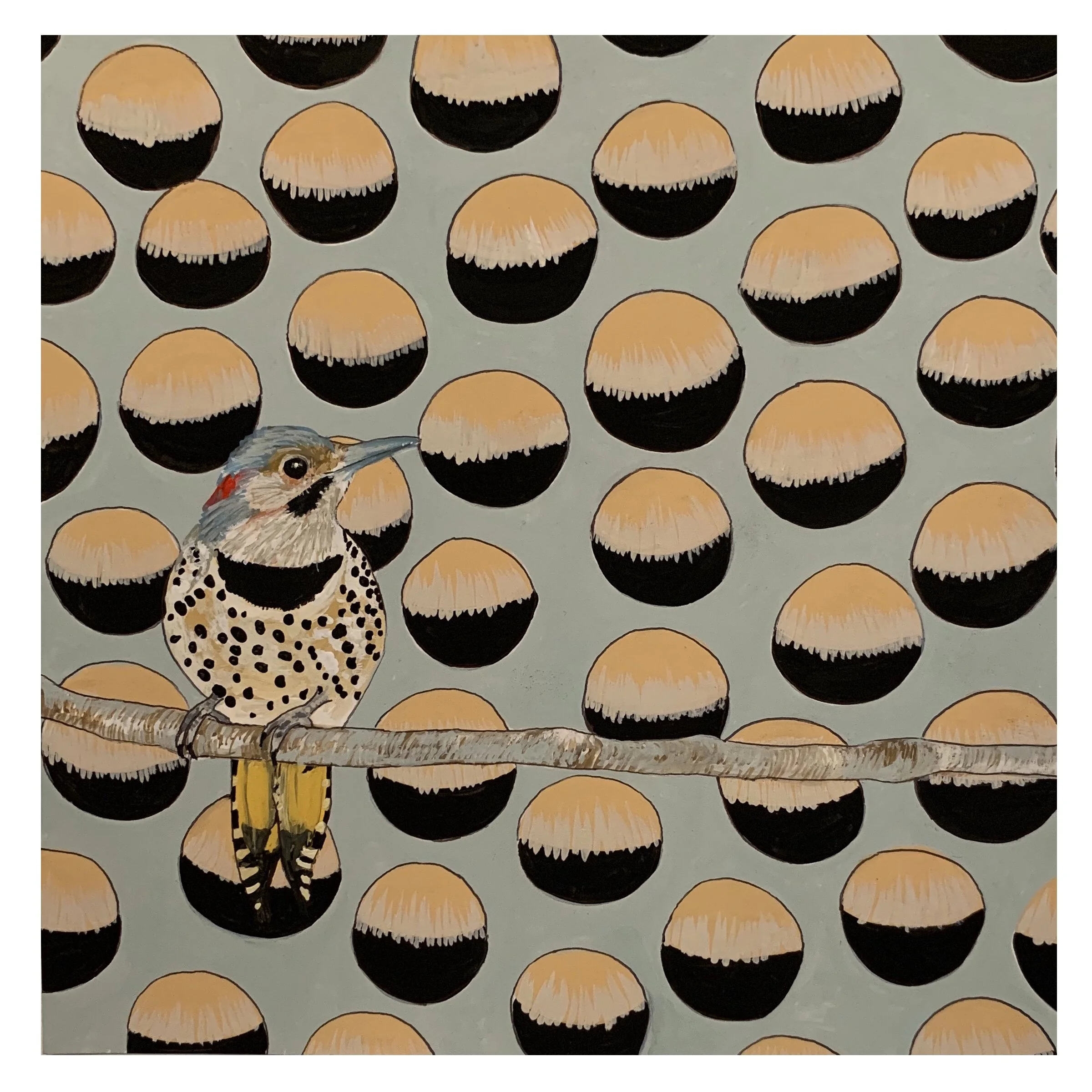 Northern Flicker — Victoria Chaban