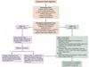 Acute Care of the Drowning Victim — USF Emergency Medicine