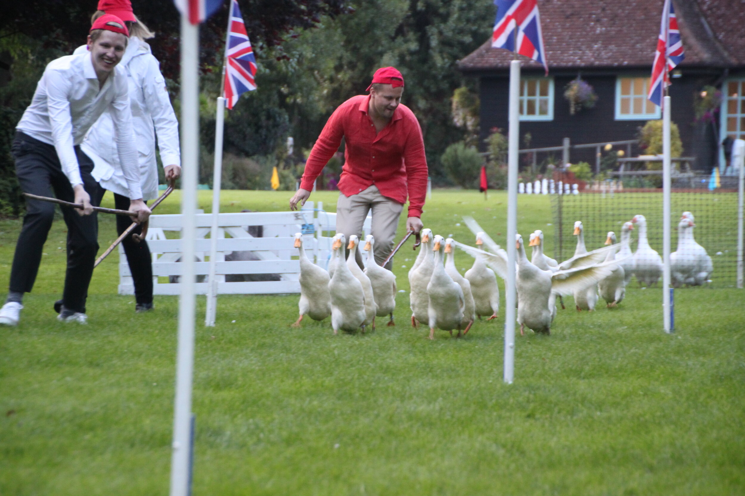 Duck Herding — Team Activity Group