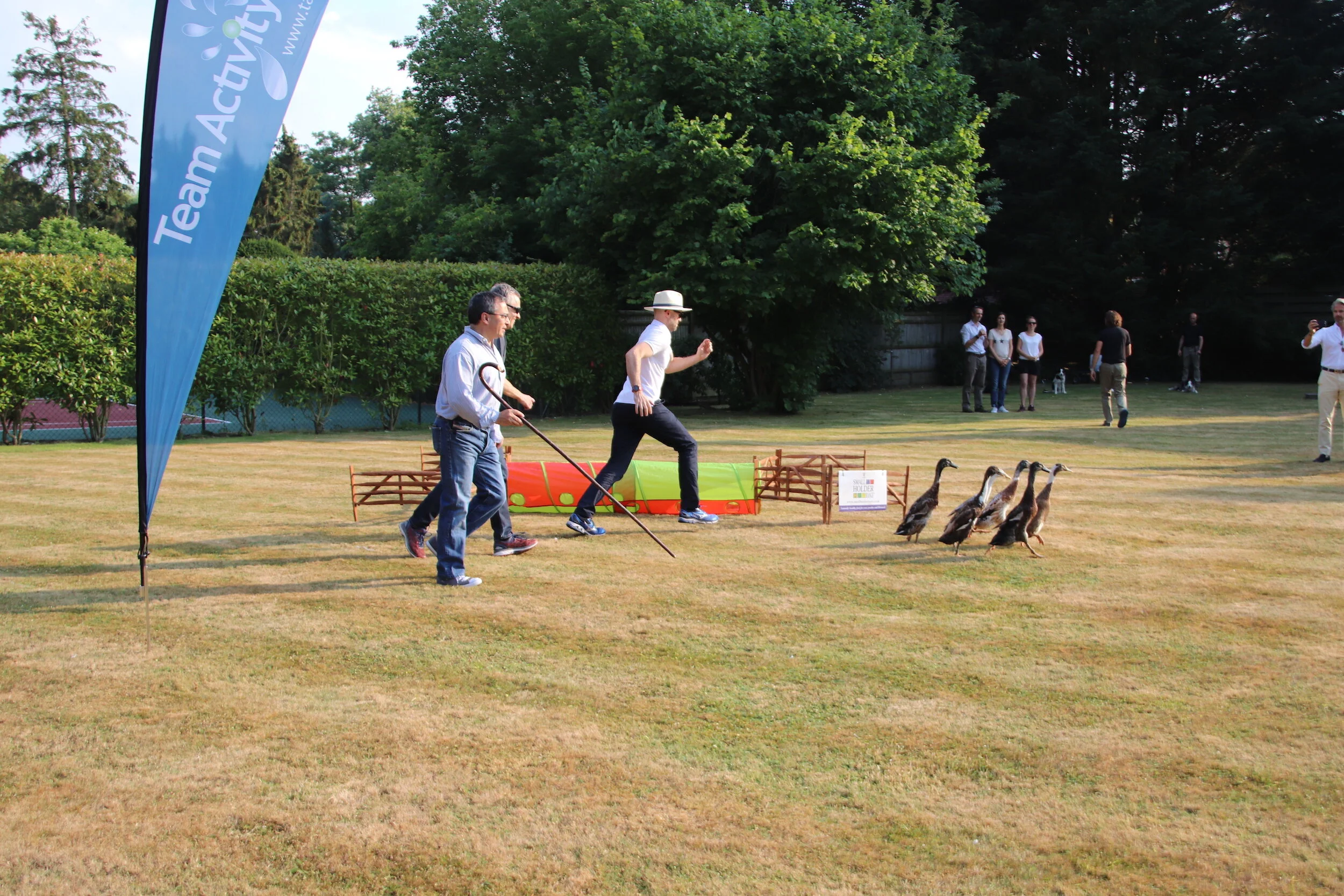 Duck Herding — Team Activity Group