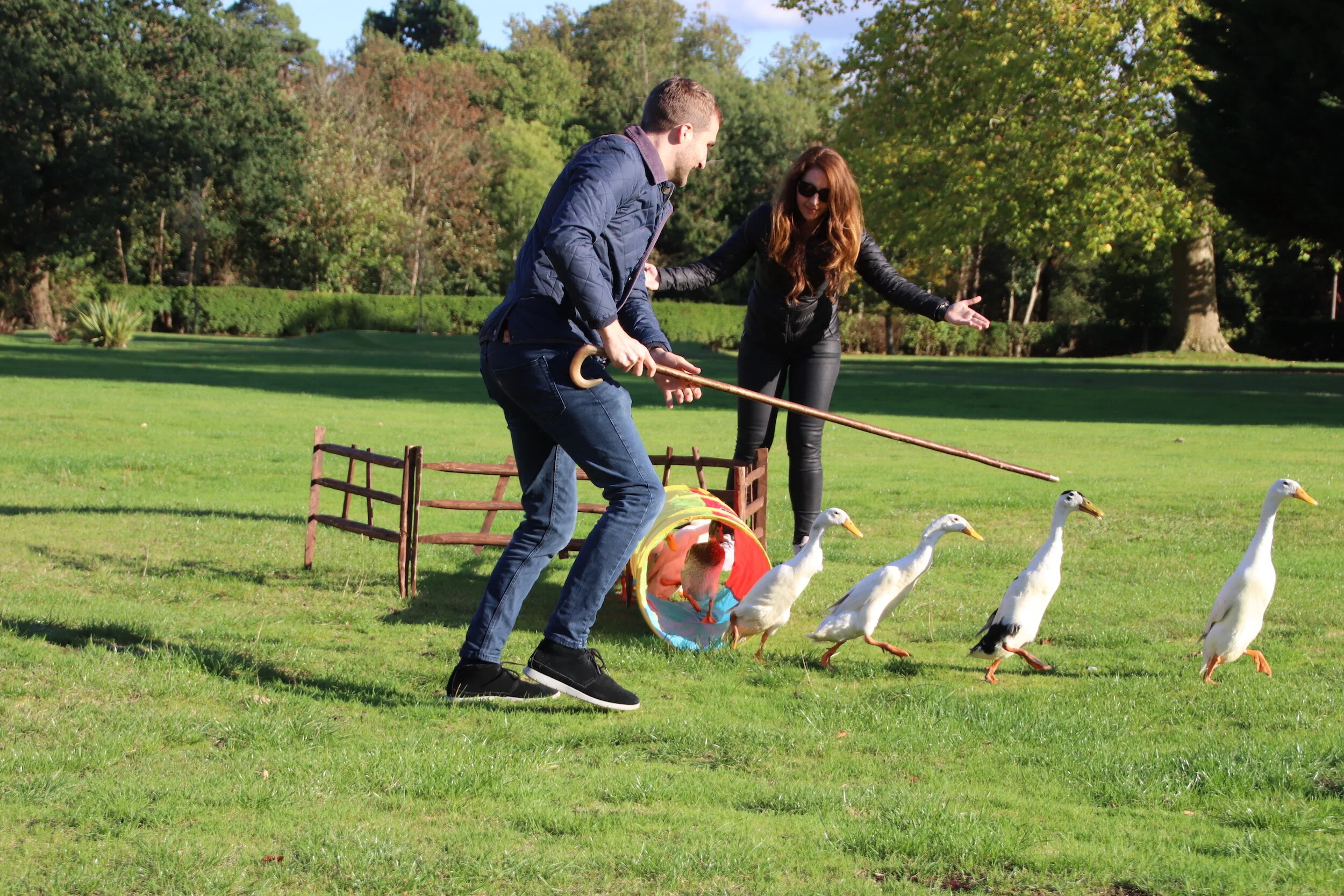 Duck Herding — Team Activity Group