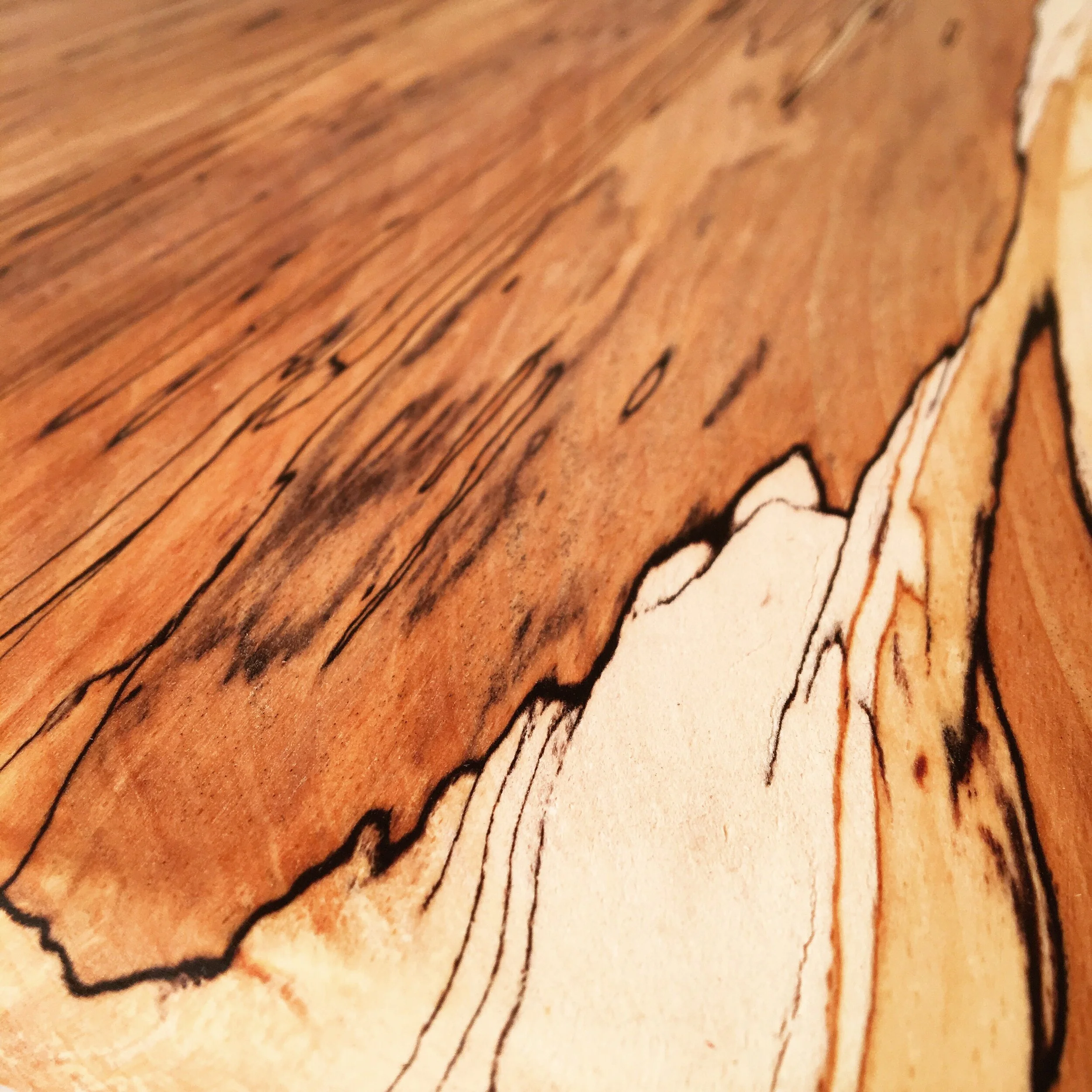 Spalted Beech — Dansel Gallery - Work in Wood