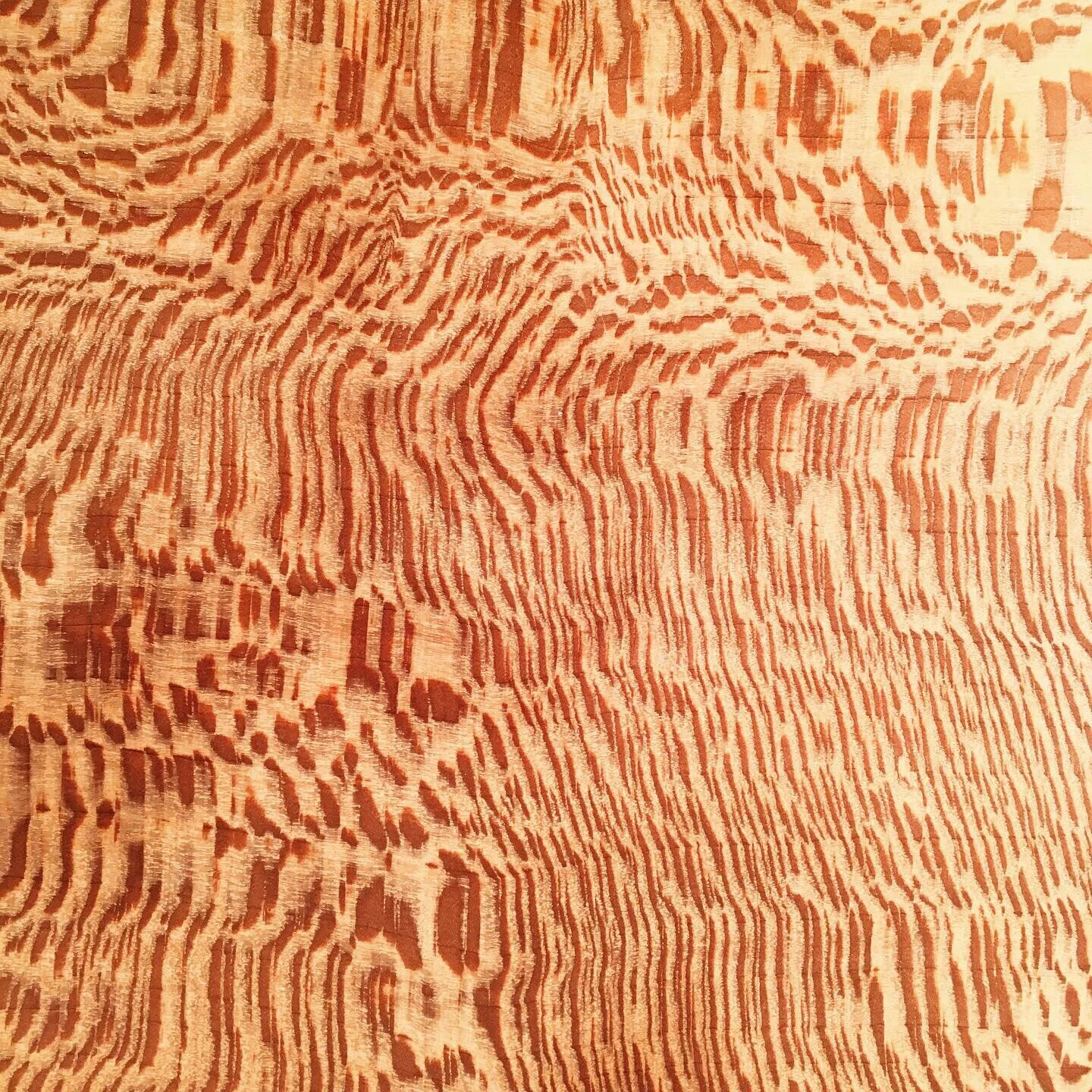 Lacewood Timber Uk