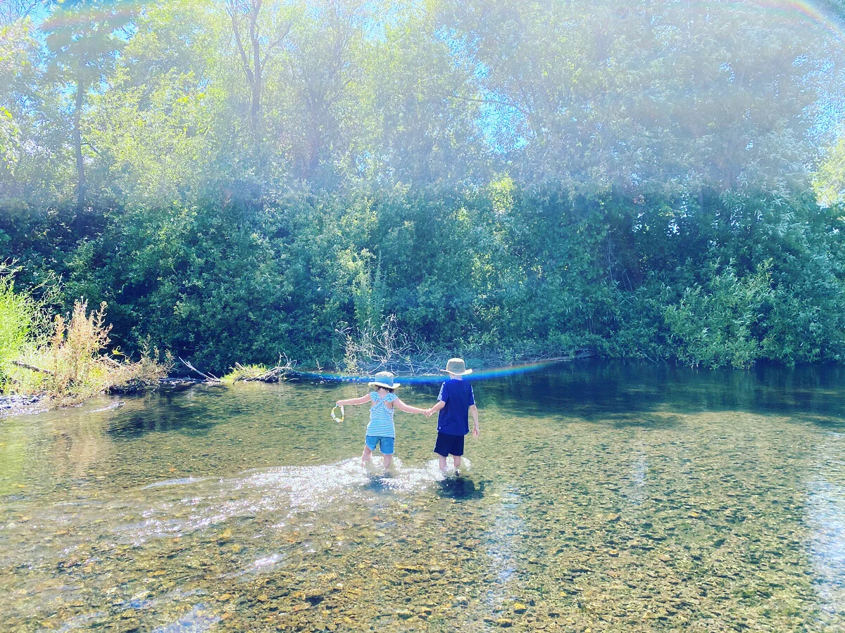 A new beginning — ARIA ALPERT ADJANI