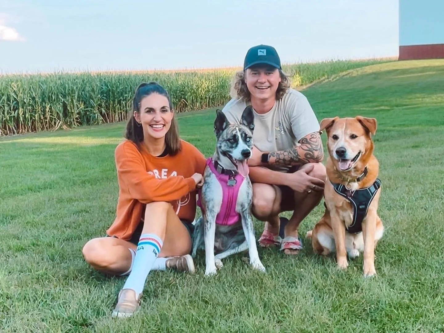 About 4 — The Hive Drive