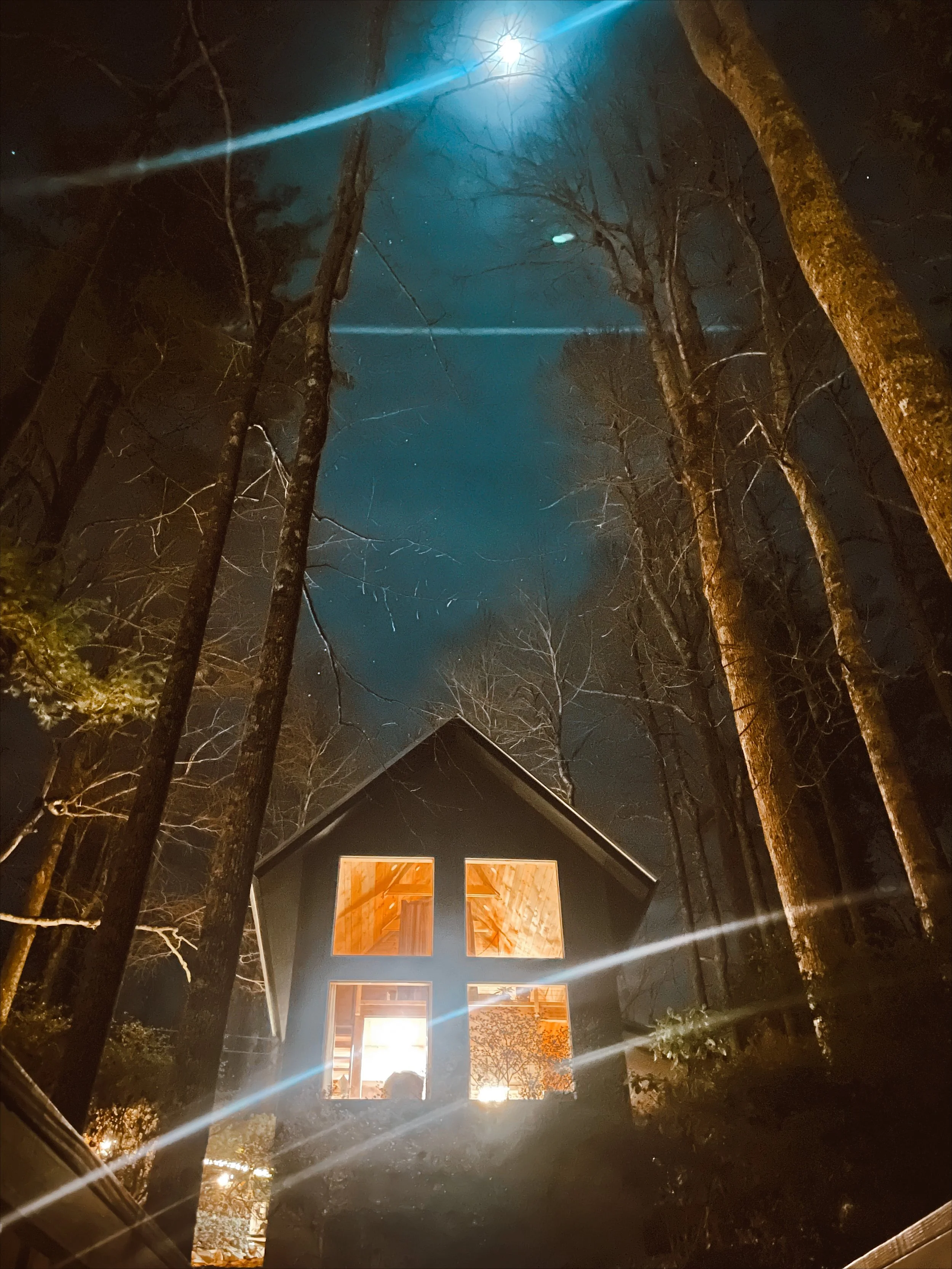 Airbnb&STR | Elevate Your Listings Today — The Hive Drive