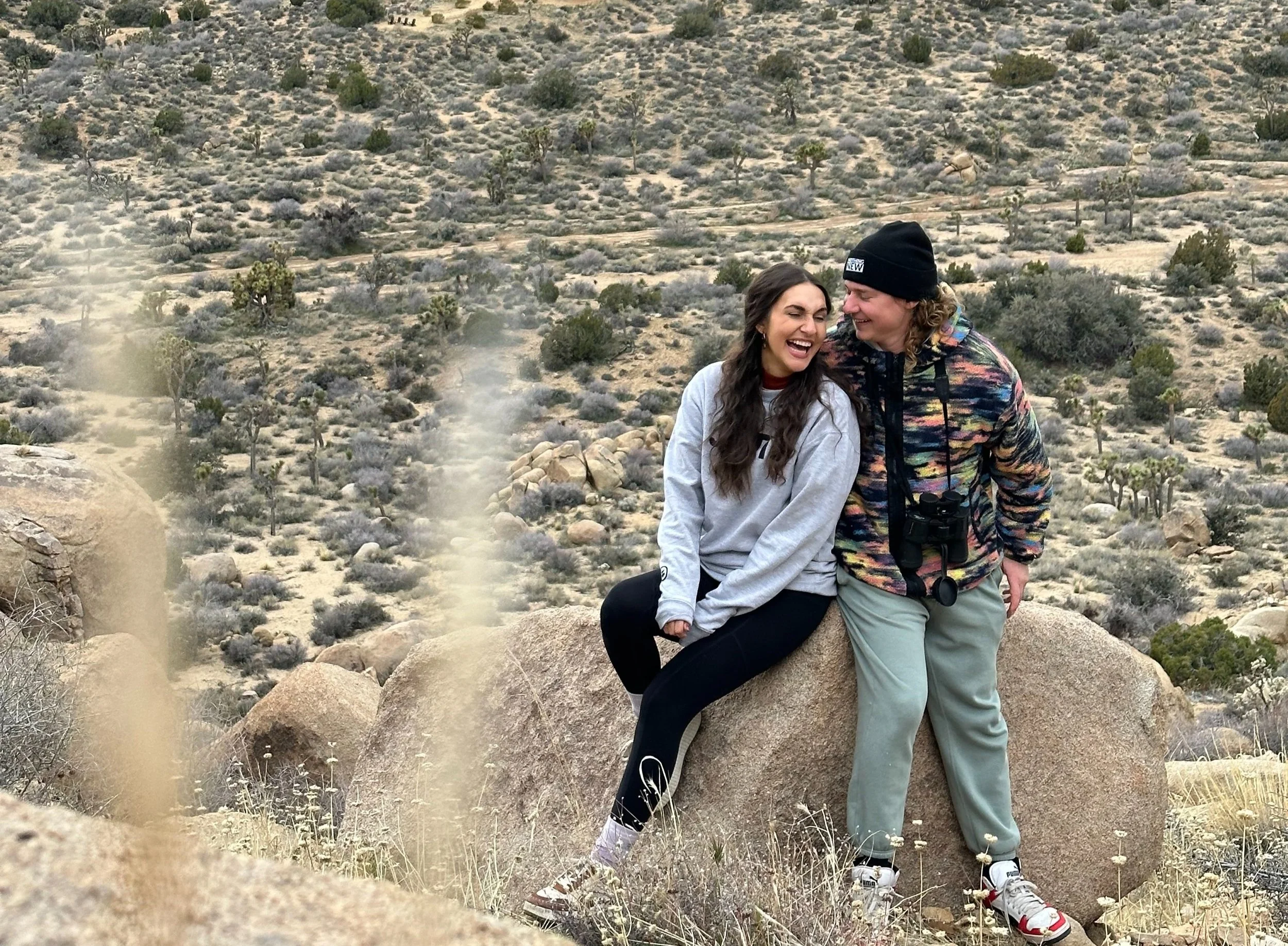 Home - The Hive Drive