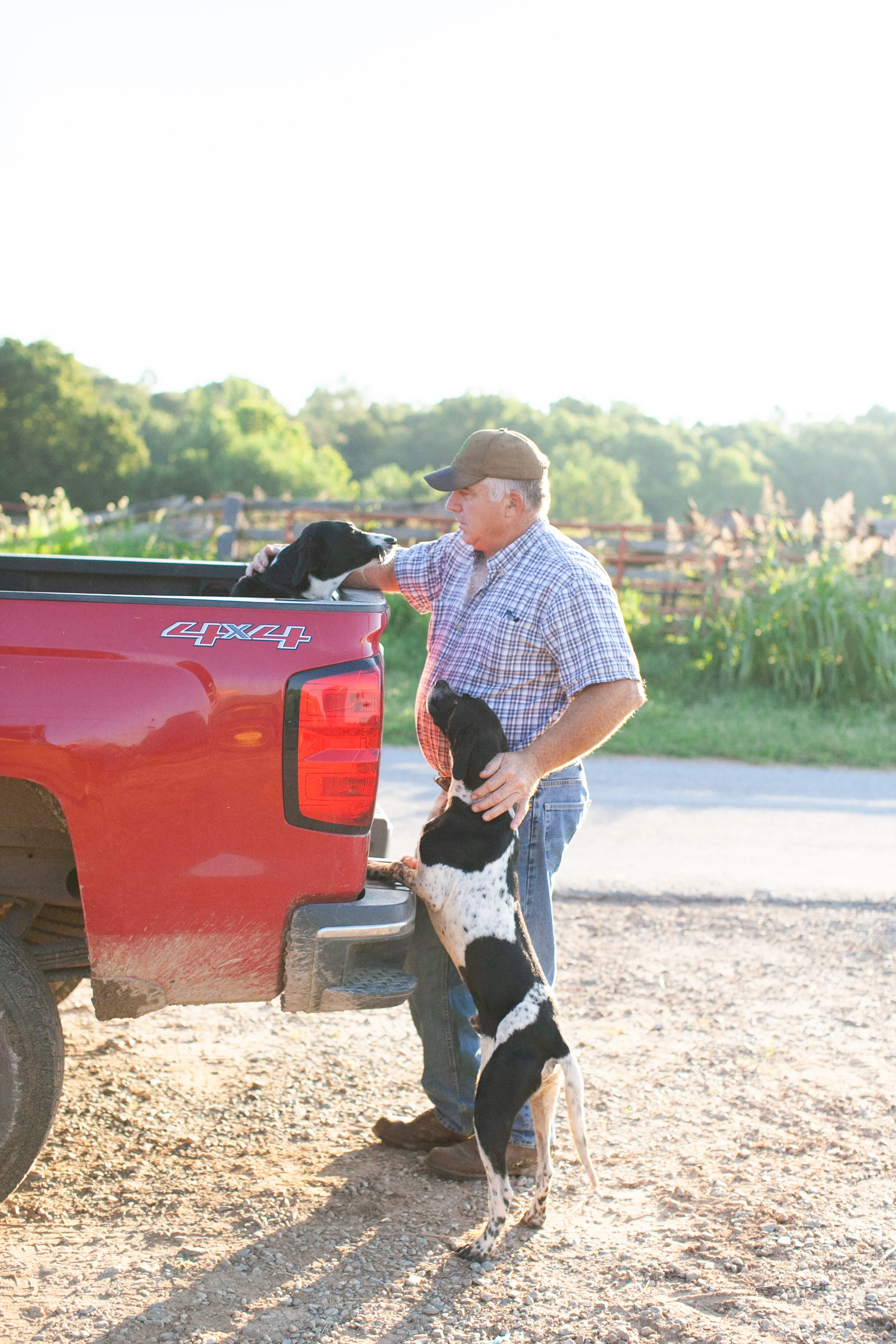 The Virginia Beef Co.