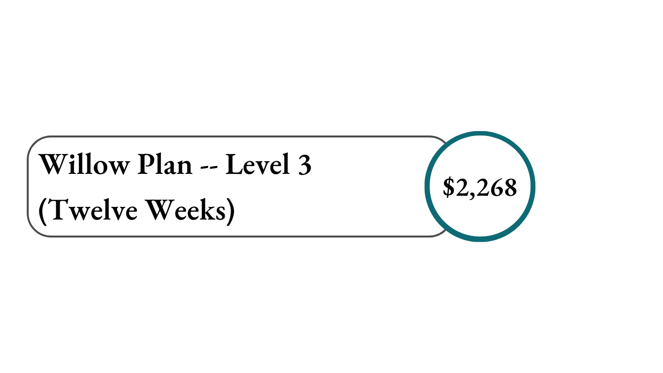 Willow Plan — Willow Communication Strategies