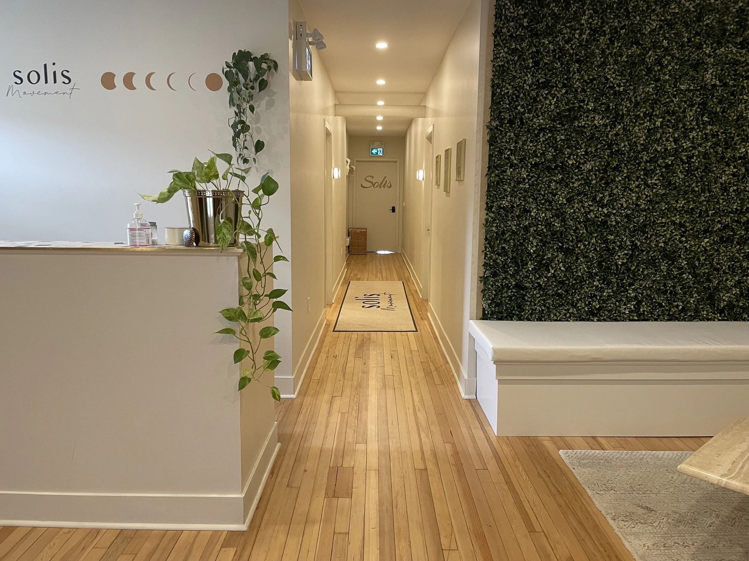 The Studio — Solis Movement