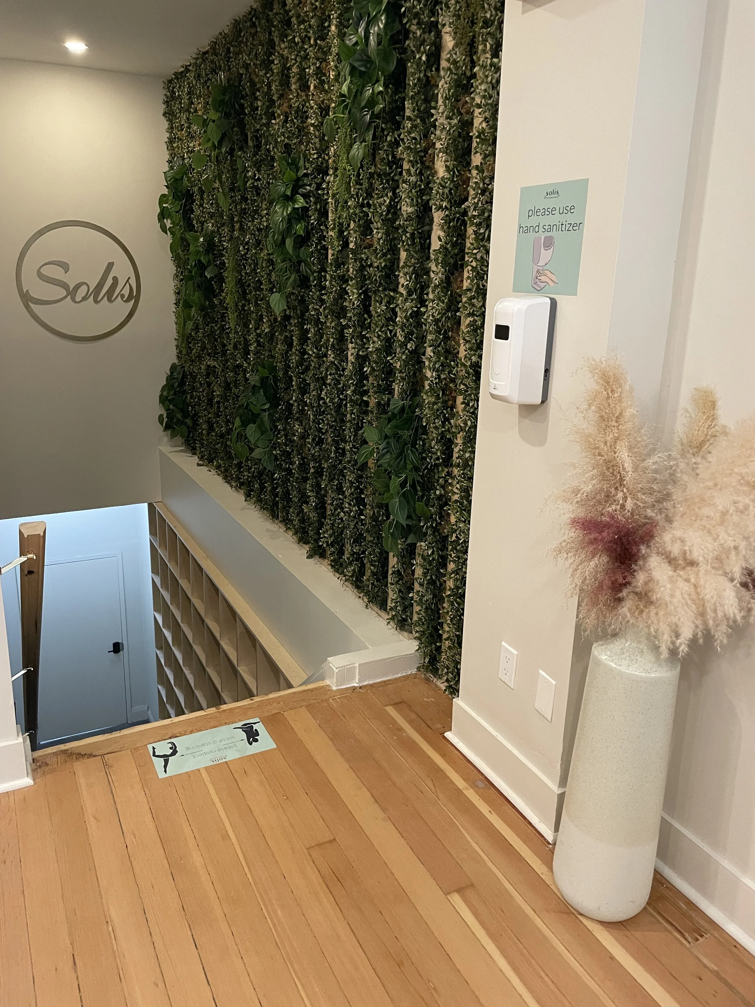 The Studio — Solis Movement