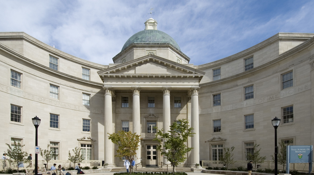 Levy Decision Neuroscience Lab