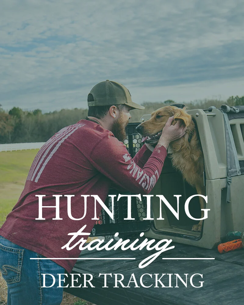 Dog Training Services in West Monroe, Louisiana — Curly's Top Dog