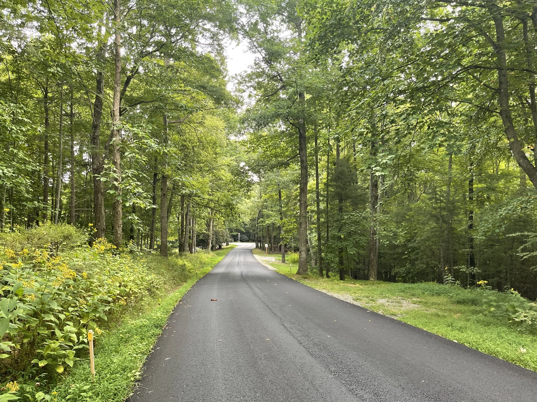 Primland Resort, Auberge Resorts Collection Review — Live Luxe Travel Co