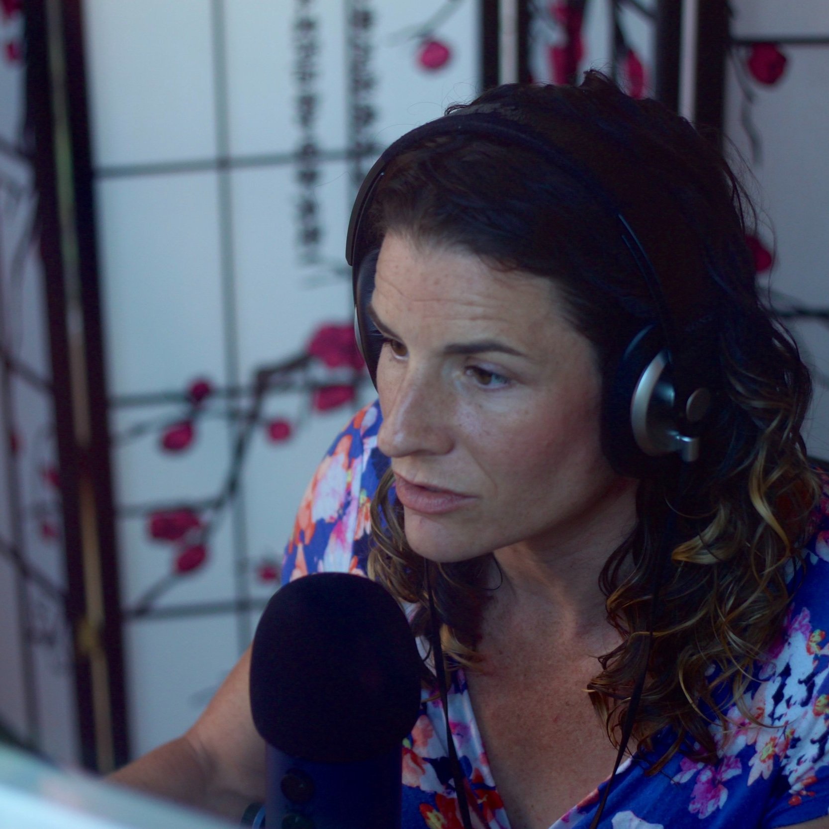 Press kit — Shelter in Place podcast