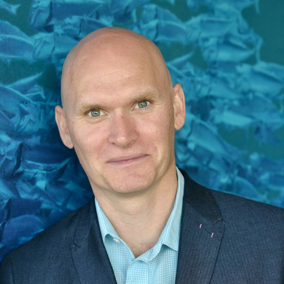 Season 3, episode 25: cloud cuckoo land — Shelter in Place podcast