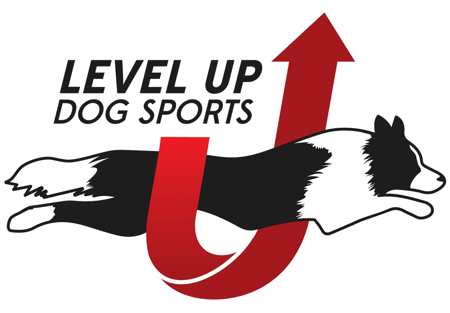Level Up Dog Sports