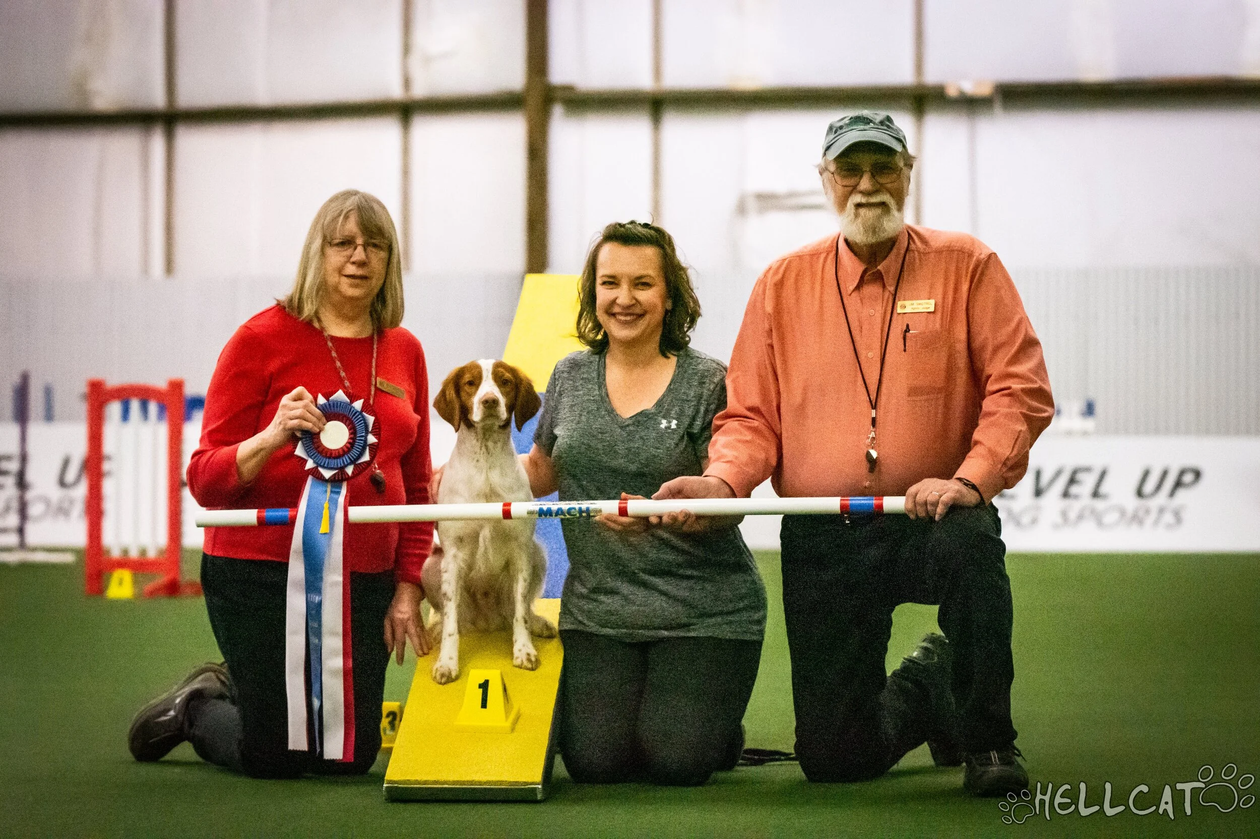 Agility — Level Up Dog Sports