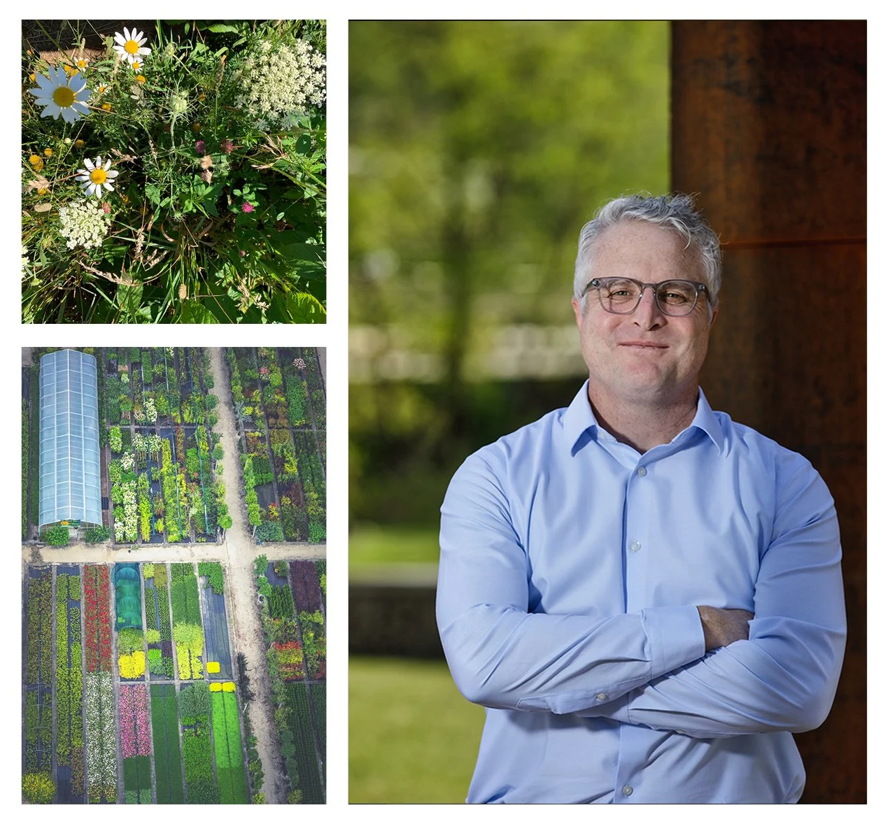 David Pearson Landscape Architect