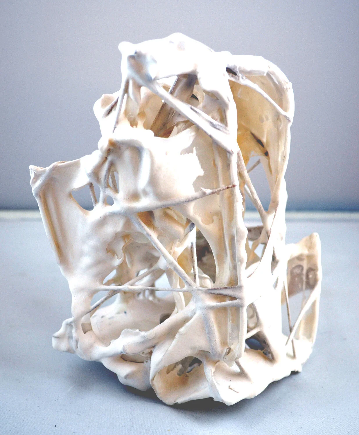 trisha stone