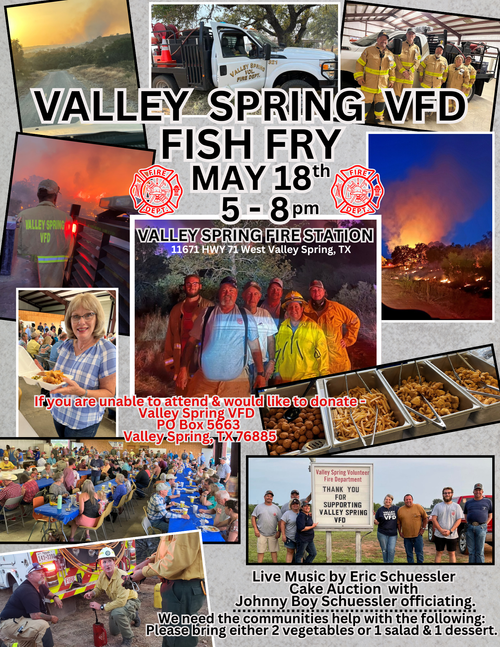 Valley Spring VFD Fish Fry — Untitled