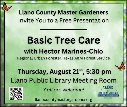 Llano Texas Chamber of Commerce and Visitor Center