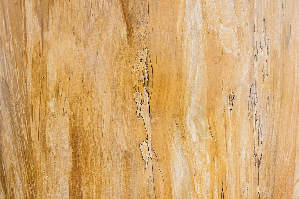 Spalted Maple Veneer | Vermont Wildwoods