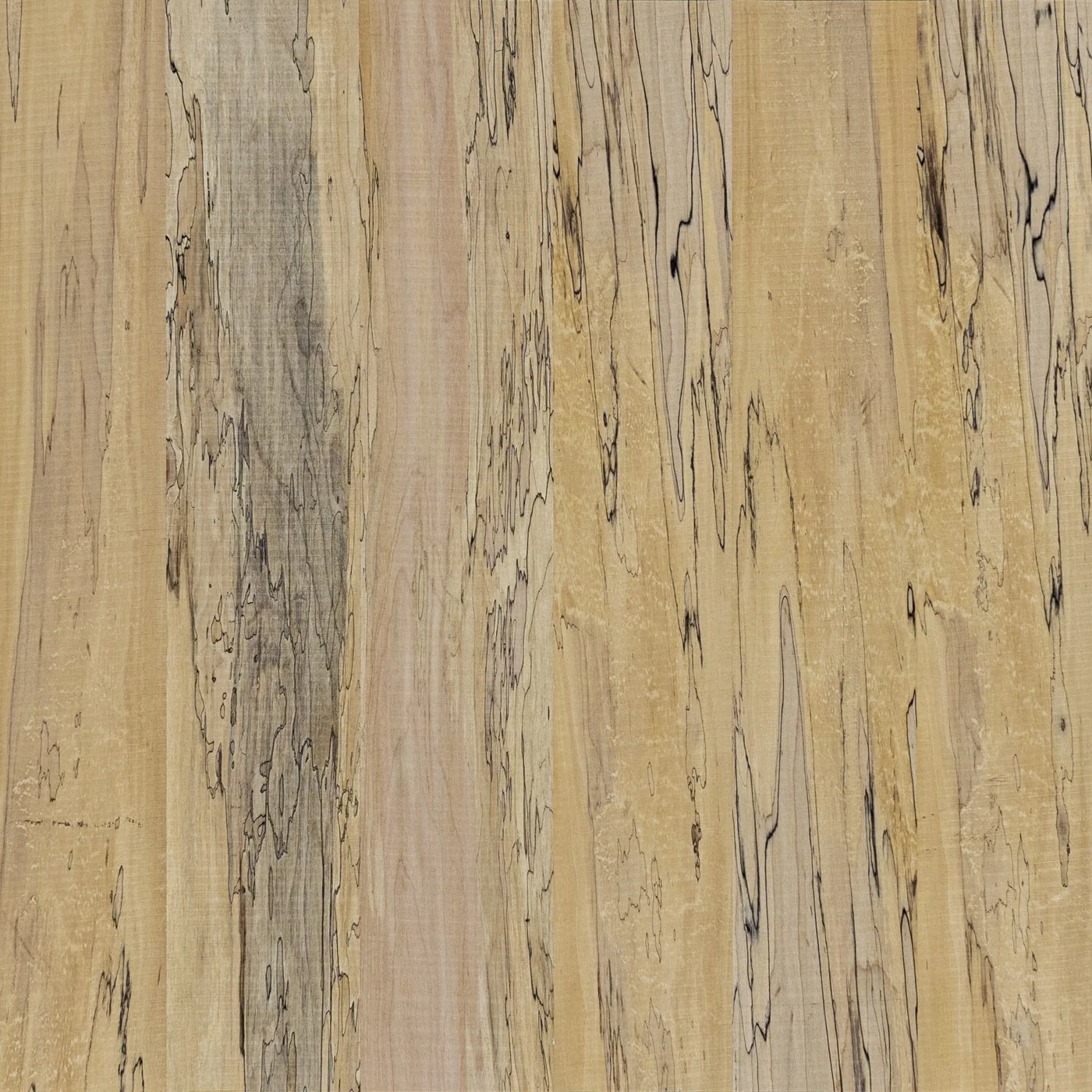 Shop | Vermont Wildwoods