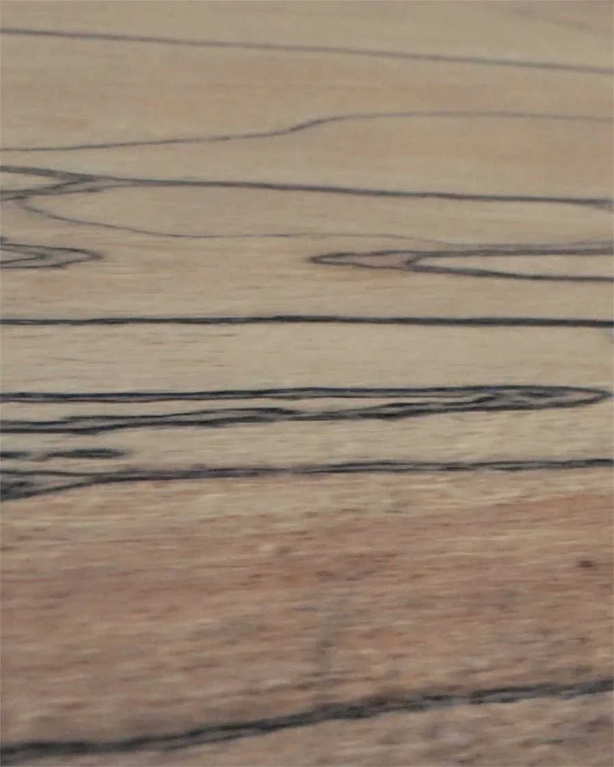 Spalted Maple | Vermont Wildwoods