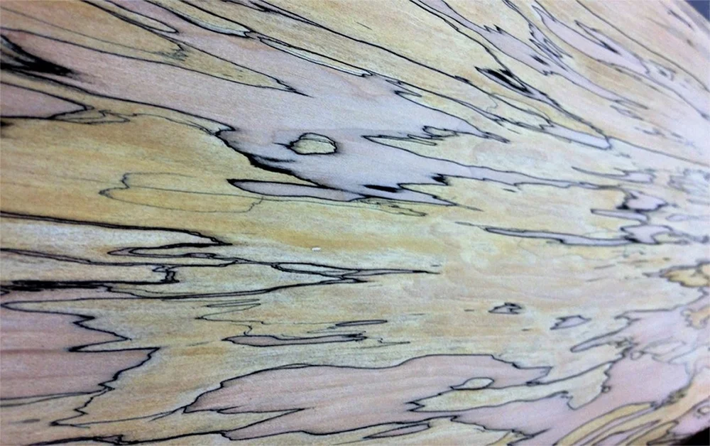 The Secret Behind Spalted Wood | Vermont Wildwoods