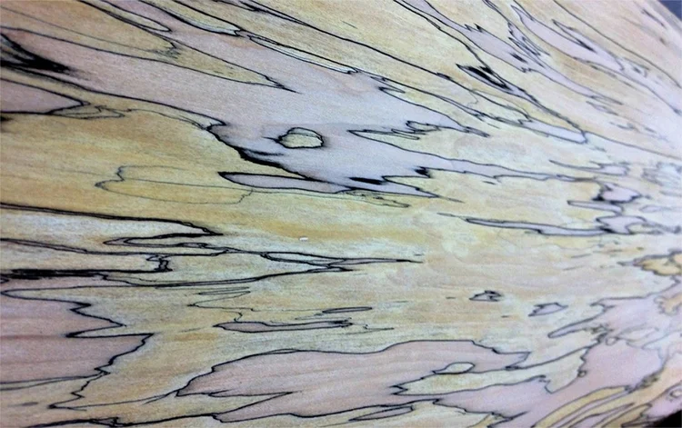 The Secret Behind Spalted Wood | Vermont Wildwoods