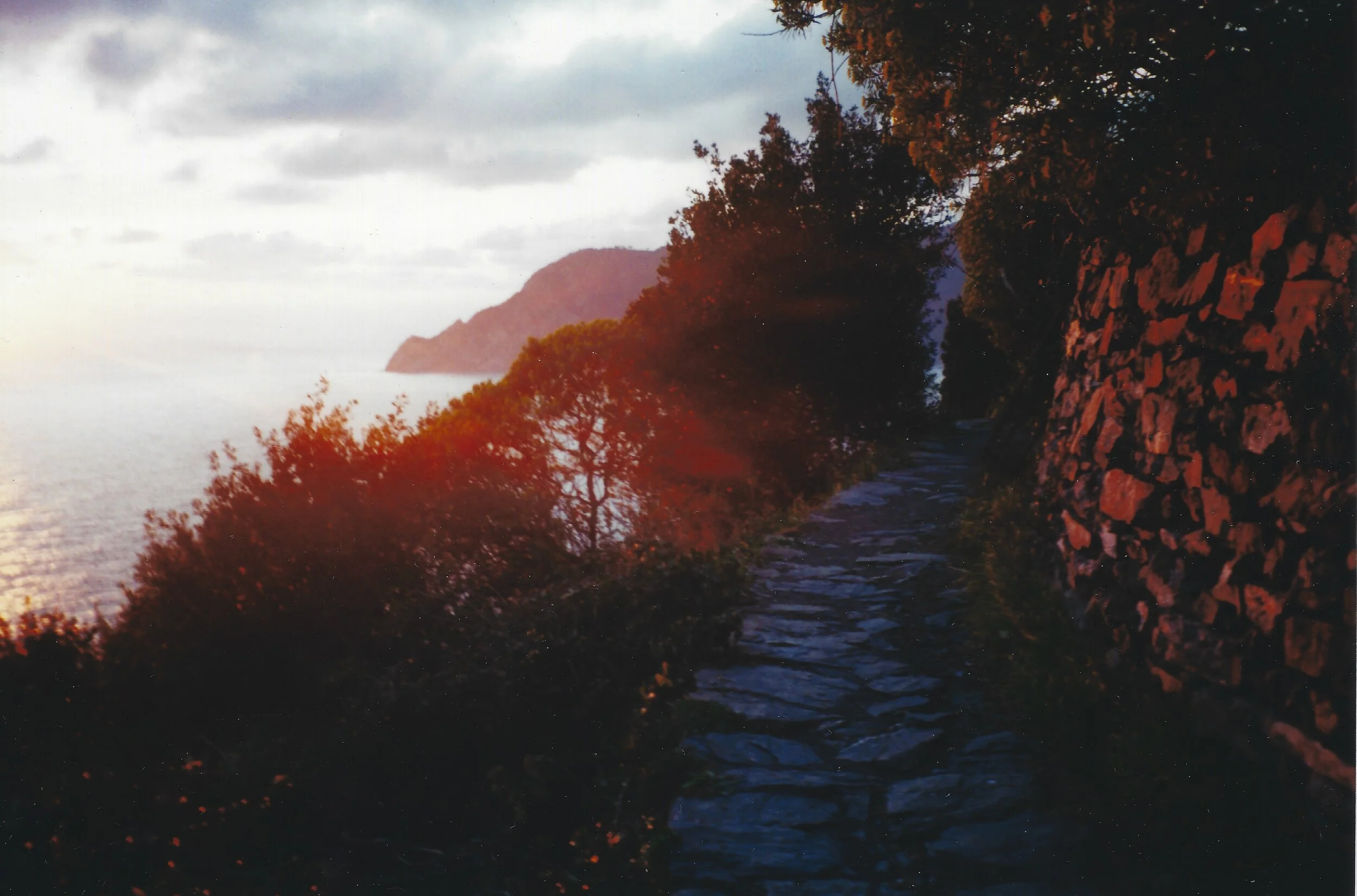 Path Sunrise Reflection — Rising Sun Coaching