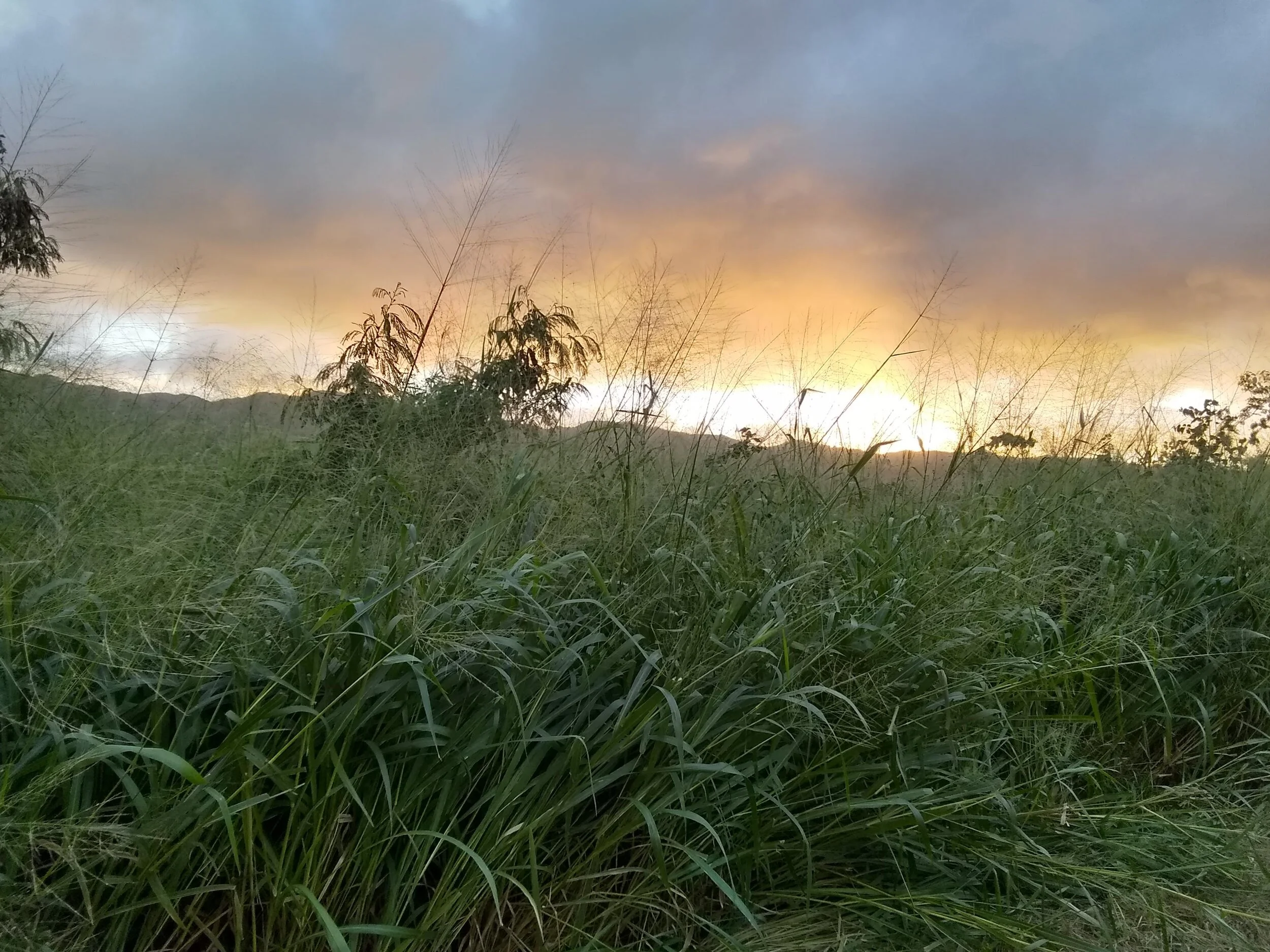 Images from around the globe — Rising Sun Coaching