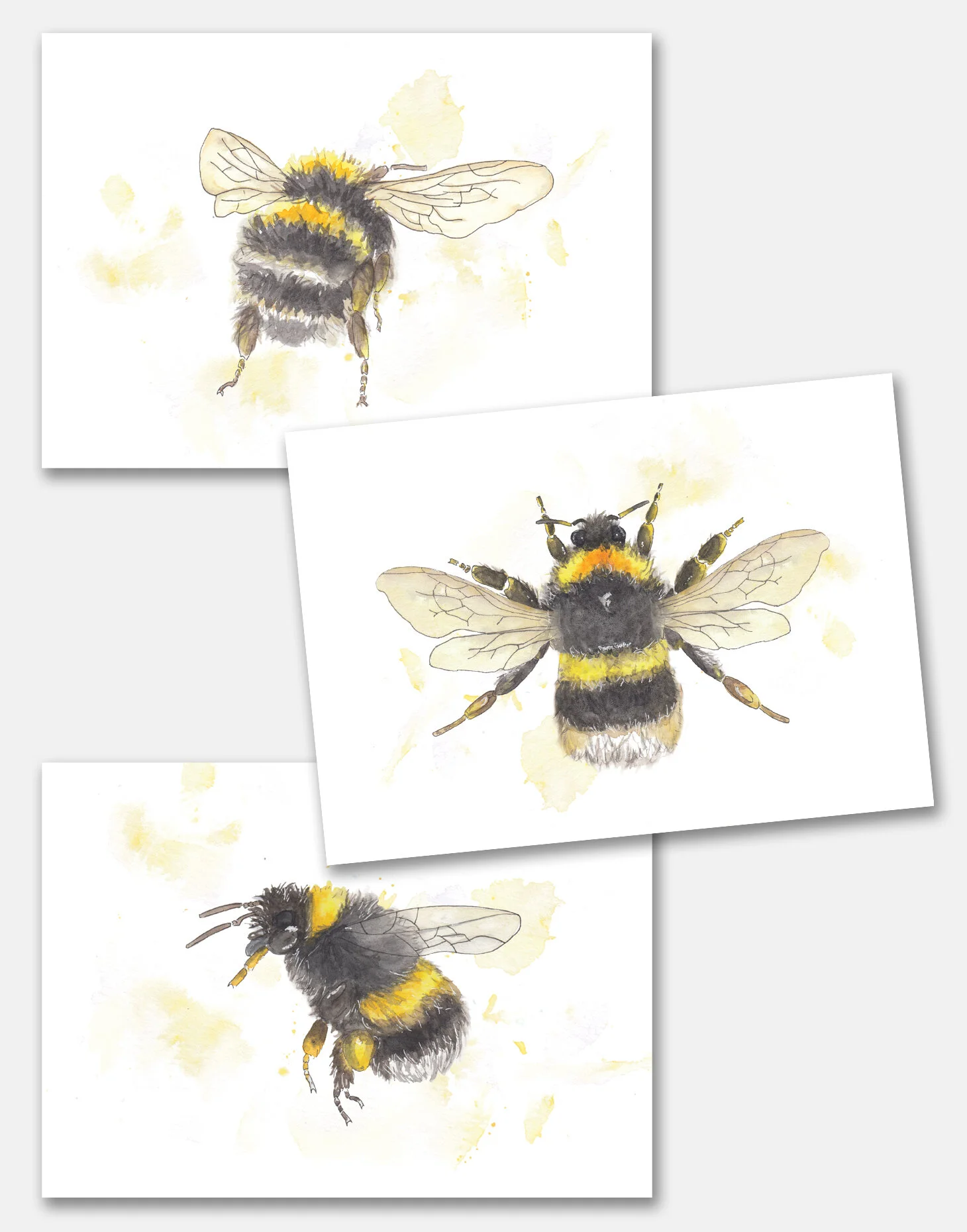 Bees Set of 3 — Heather Victoria Design