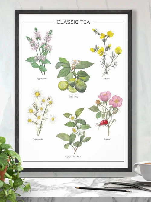 Wildflower Botanical Illustrated Chart — Heather Victoria Design