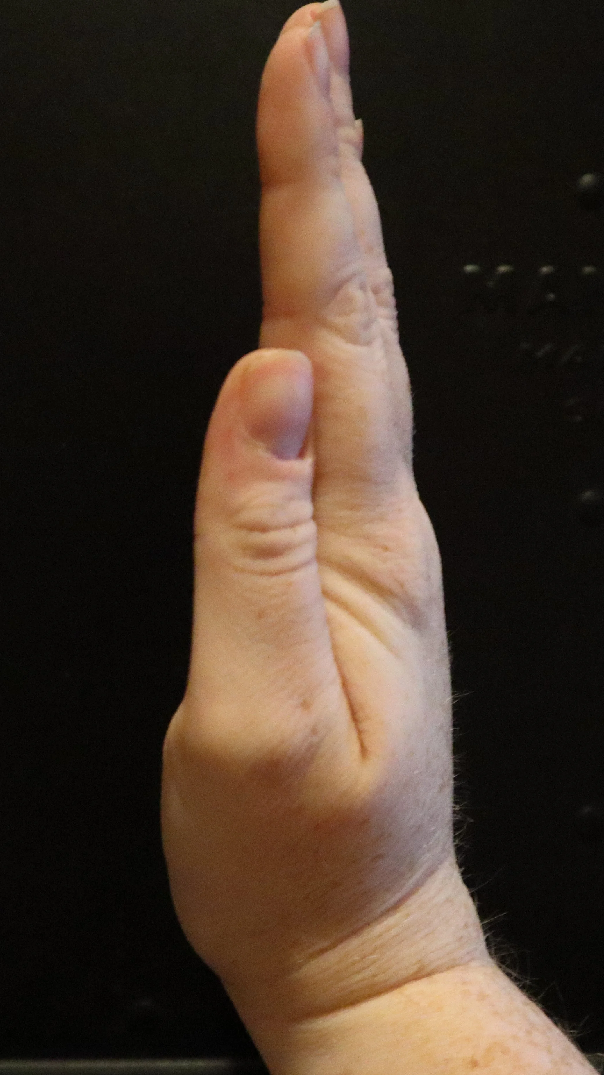 Stop the madness: Answering Misconceptions About Stopped Horn. — Ashley ...