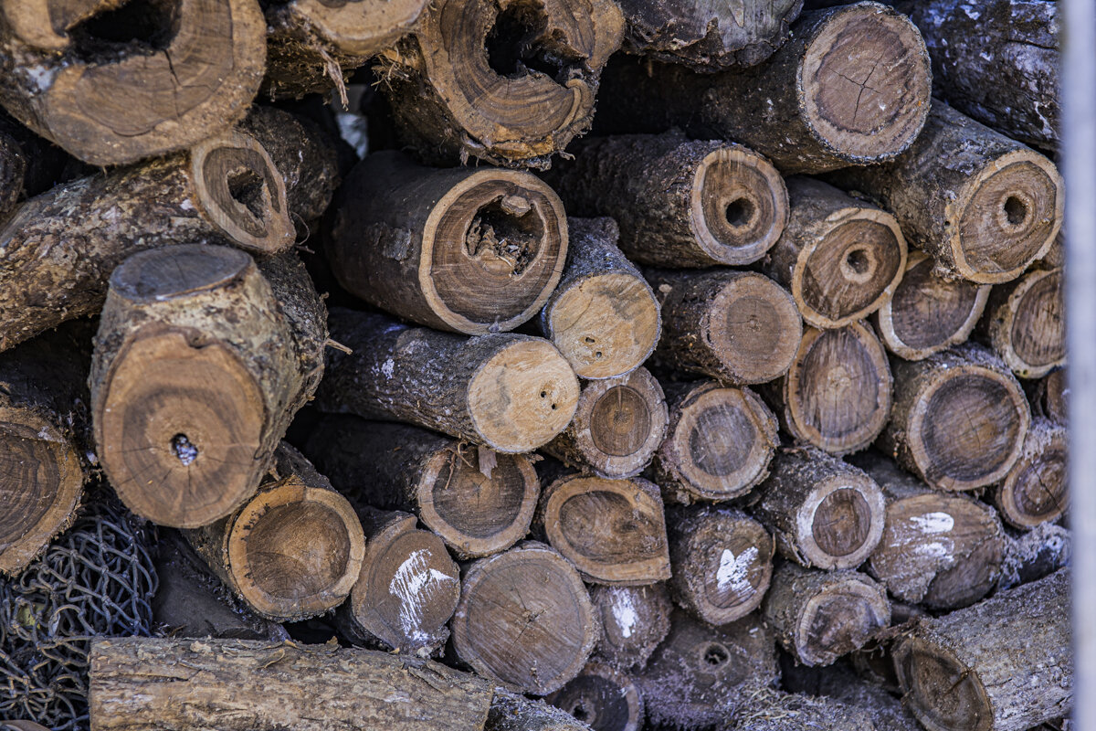 Wedding Photographer Rarotonga, Aitutaki, Cook Islands