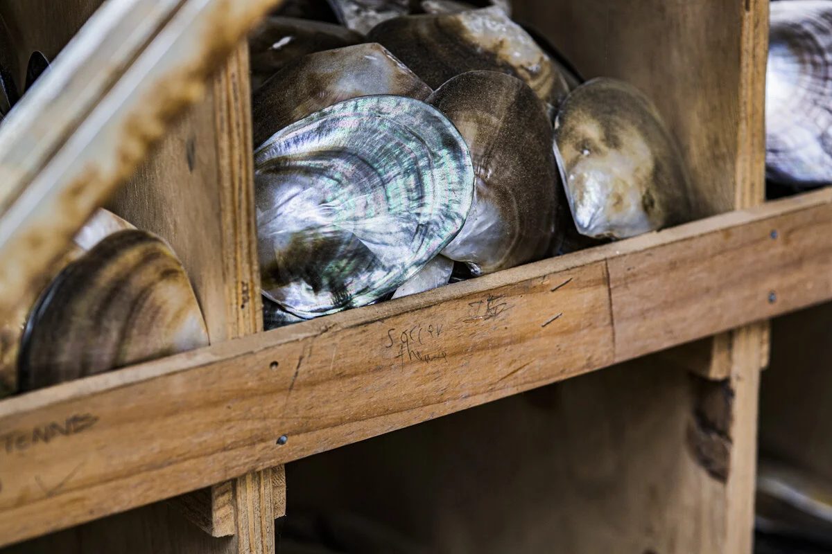 Wedding Photographer Rarotonga, Aitutaki, Cook Islands