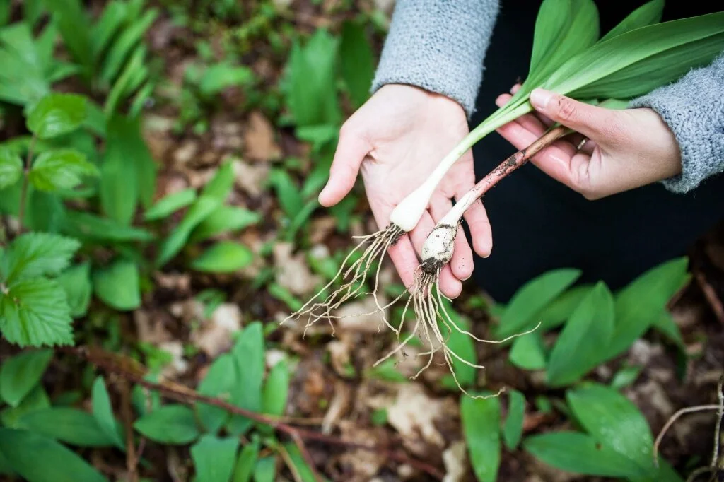 Spring Foray Photoshoot with Ari and Jenna — The Mushroom Forager