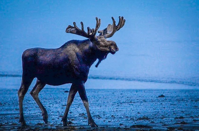 General 2 — Your Site Title