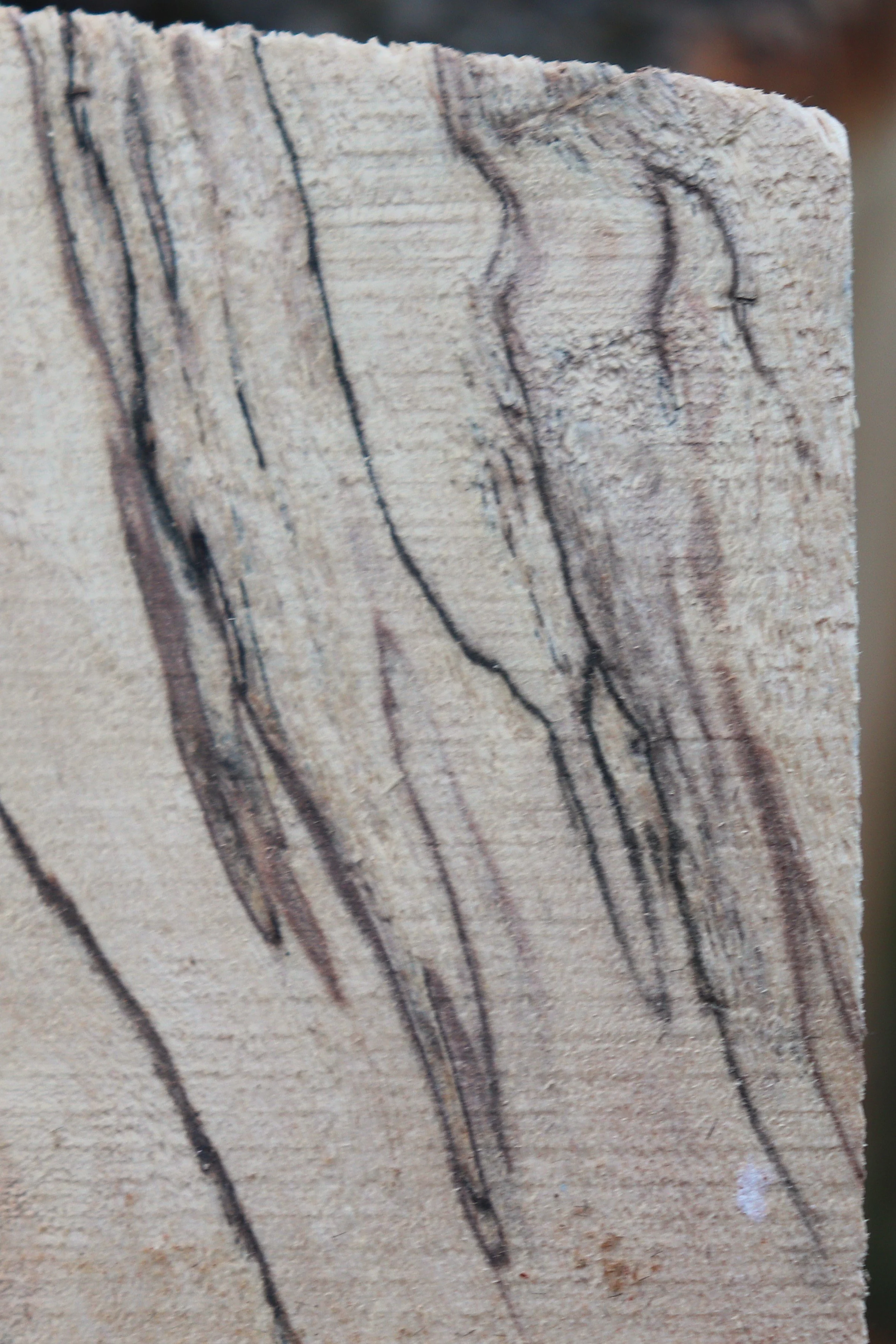 The Hidden Beauty of Spalted Maple: Nature's Artistic Masterpiece in ...
