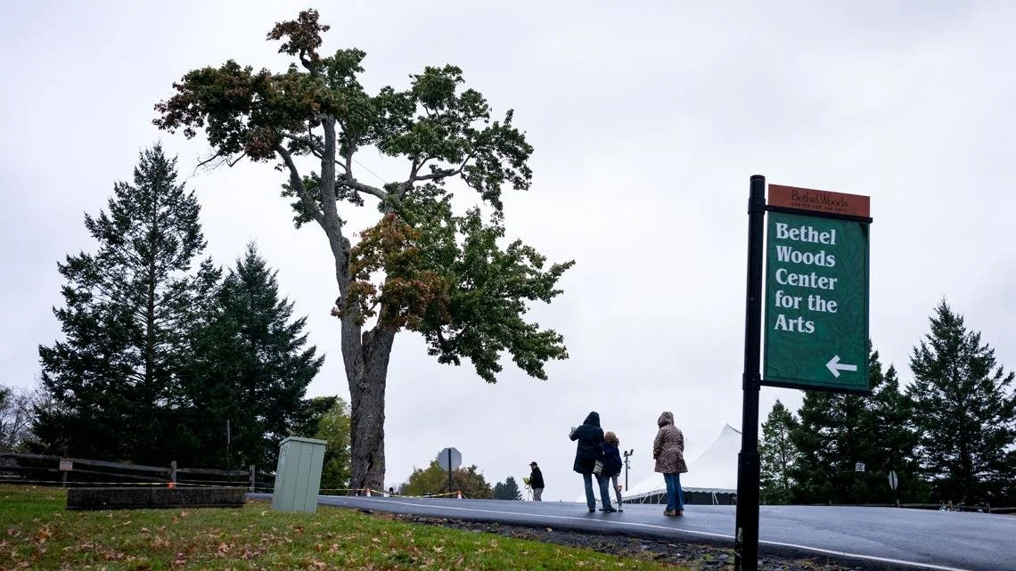 The Message Tree: A Living Symbol of Woodstock’s Legacy — Grayhill ...
