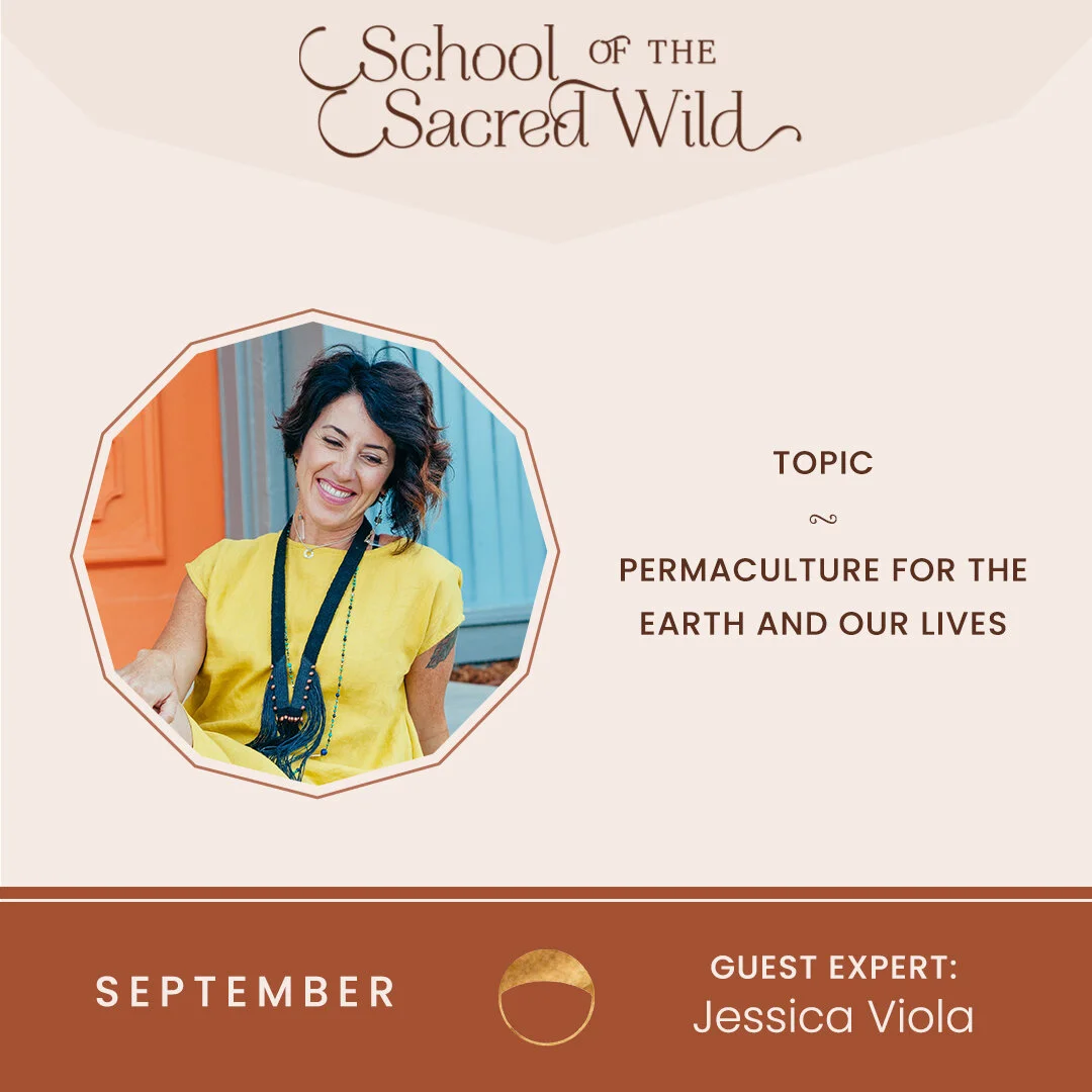 Guest Experts — School of the Sacred Wild • Marysia Miernowska