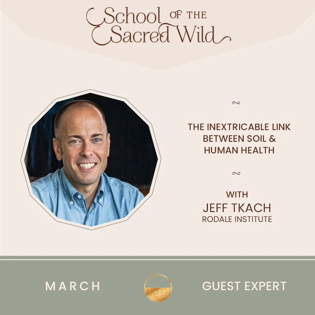 Guest Experts — School of the Sacred Wild • Marysia Miernowska