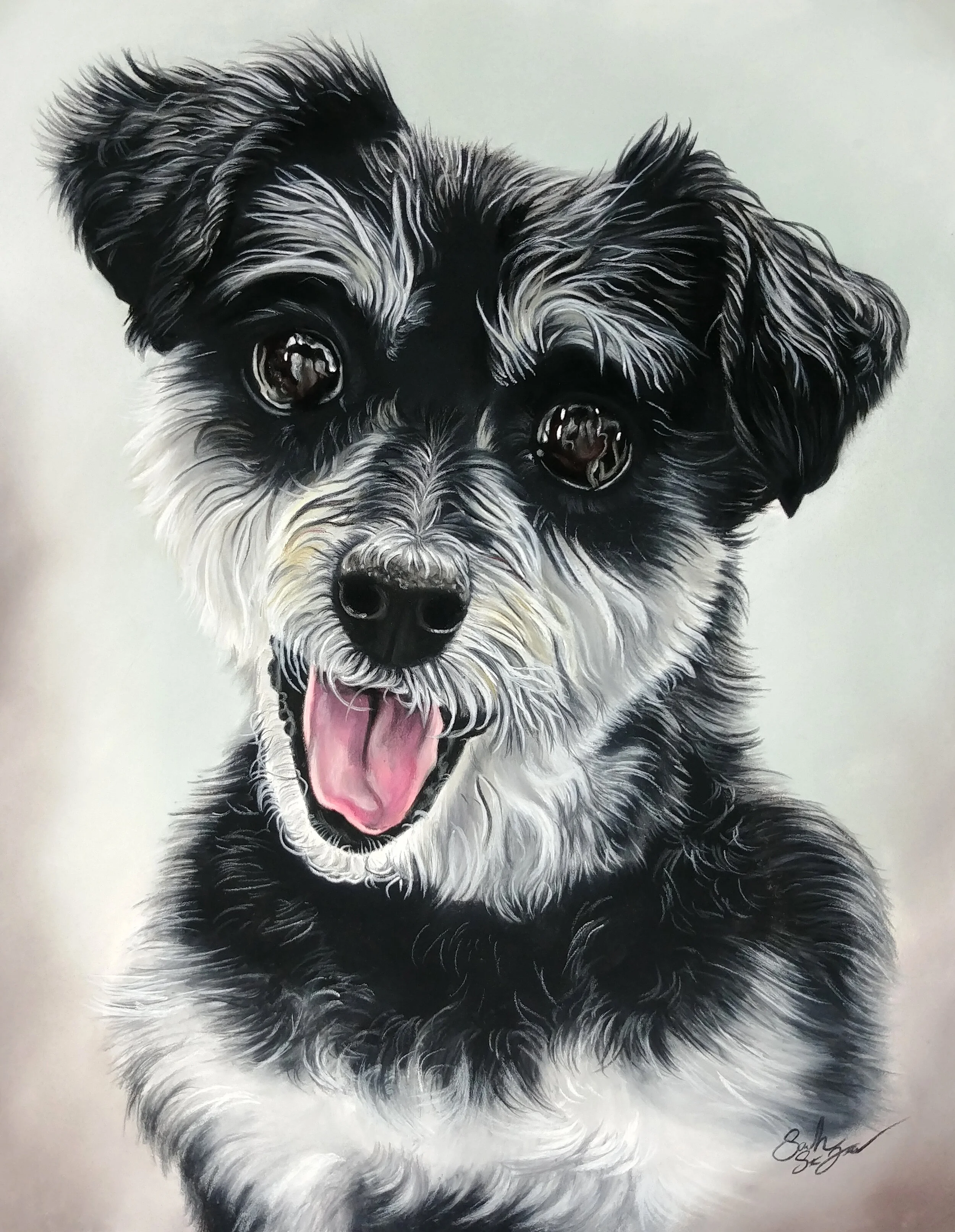 Gallery 3 — Draw My Pets