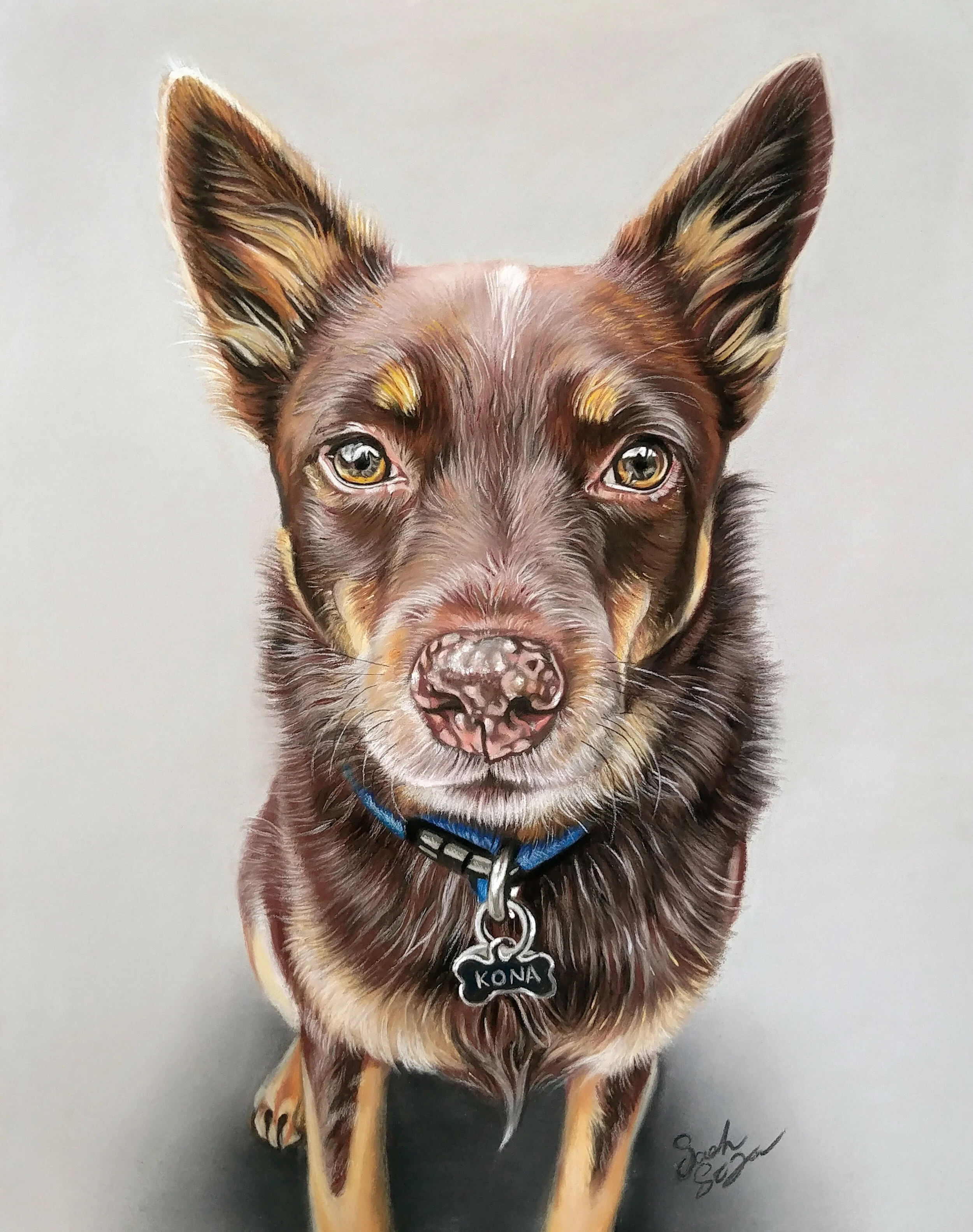 Gallery 3 — Draw My Pets